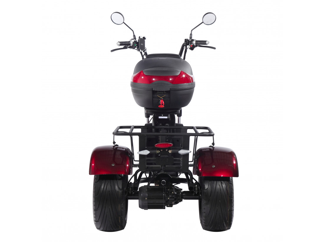 Купить электроскутер SKYBOARD TRIKE BR80 в Калининграде