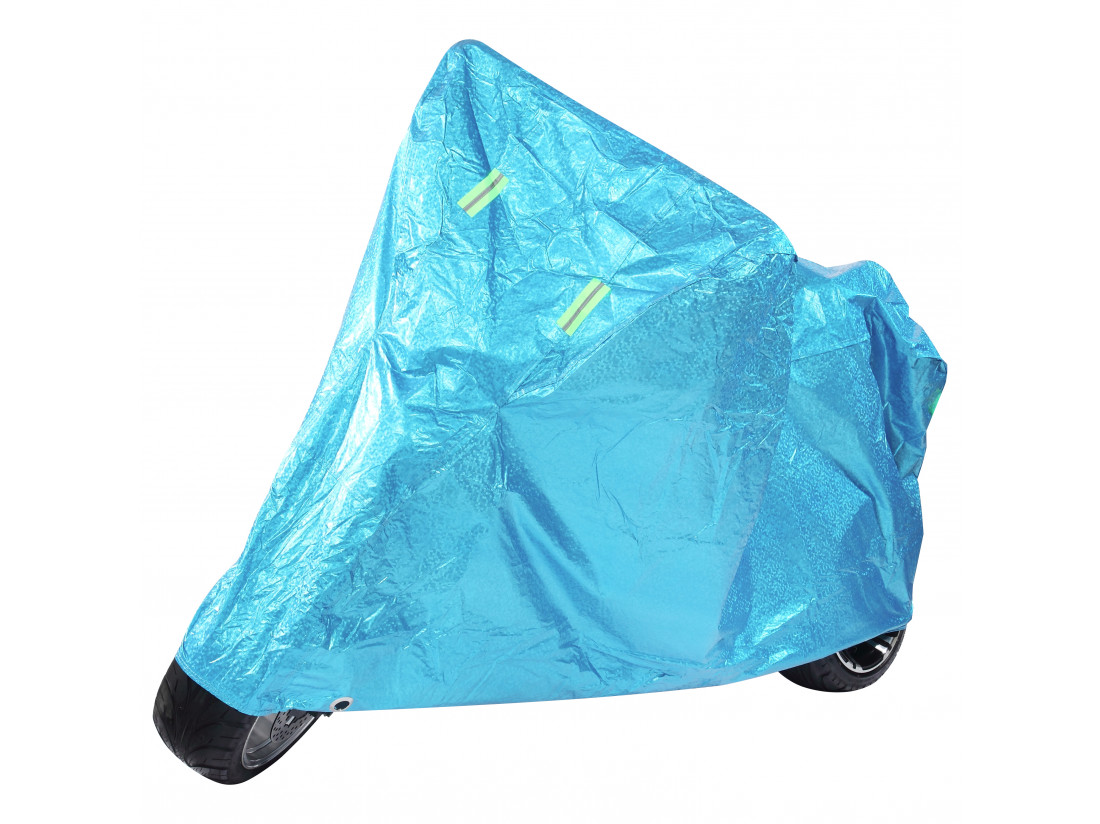 Купить электроскутер SKYBOARD TRIKE BR80 в Калининграде